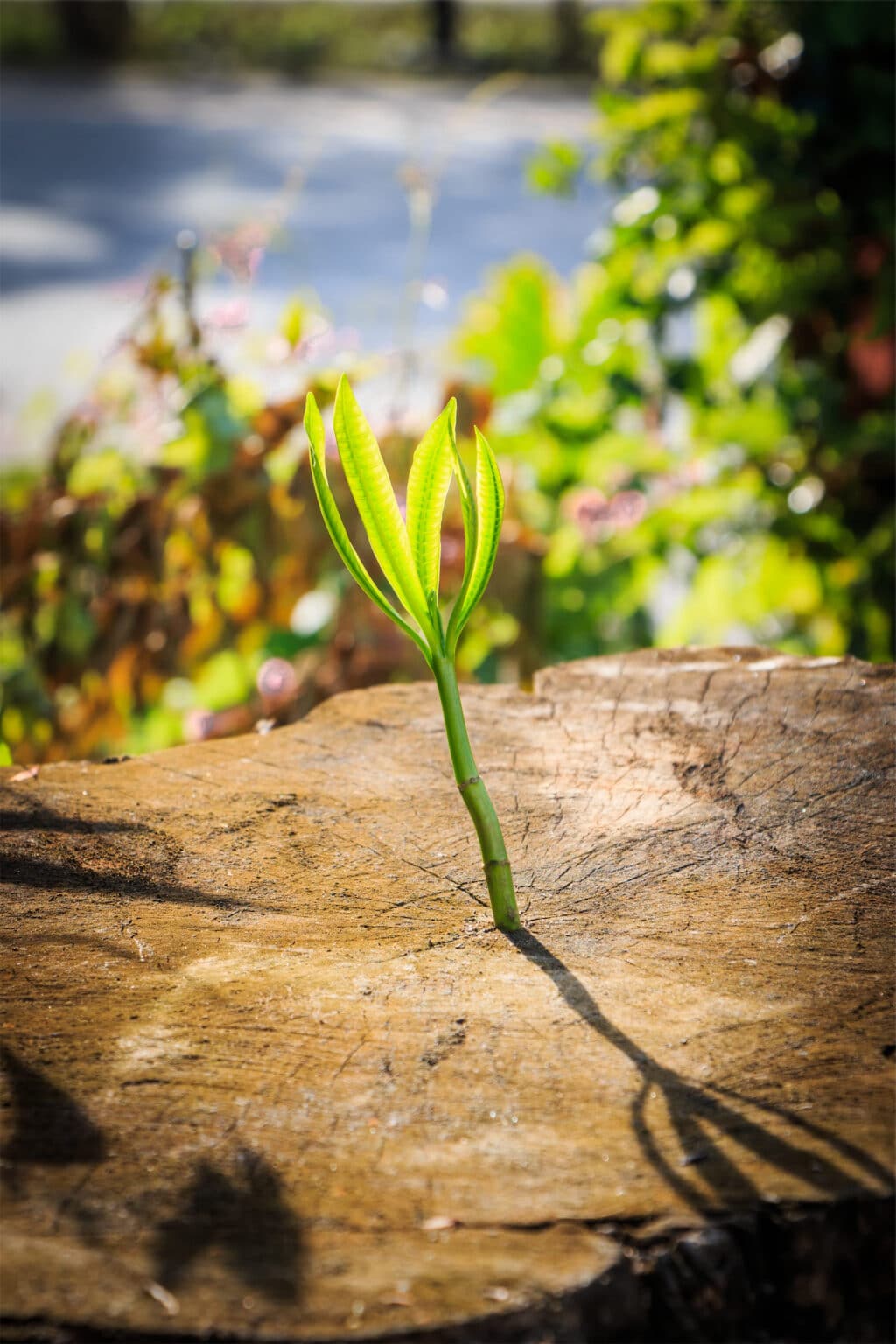 OAKK Beheerd Beleggen - Particulier Vermogensopbouw